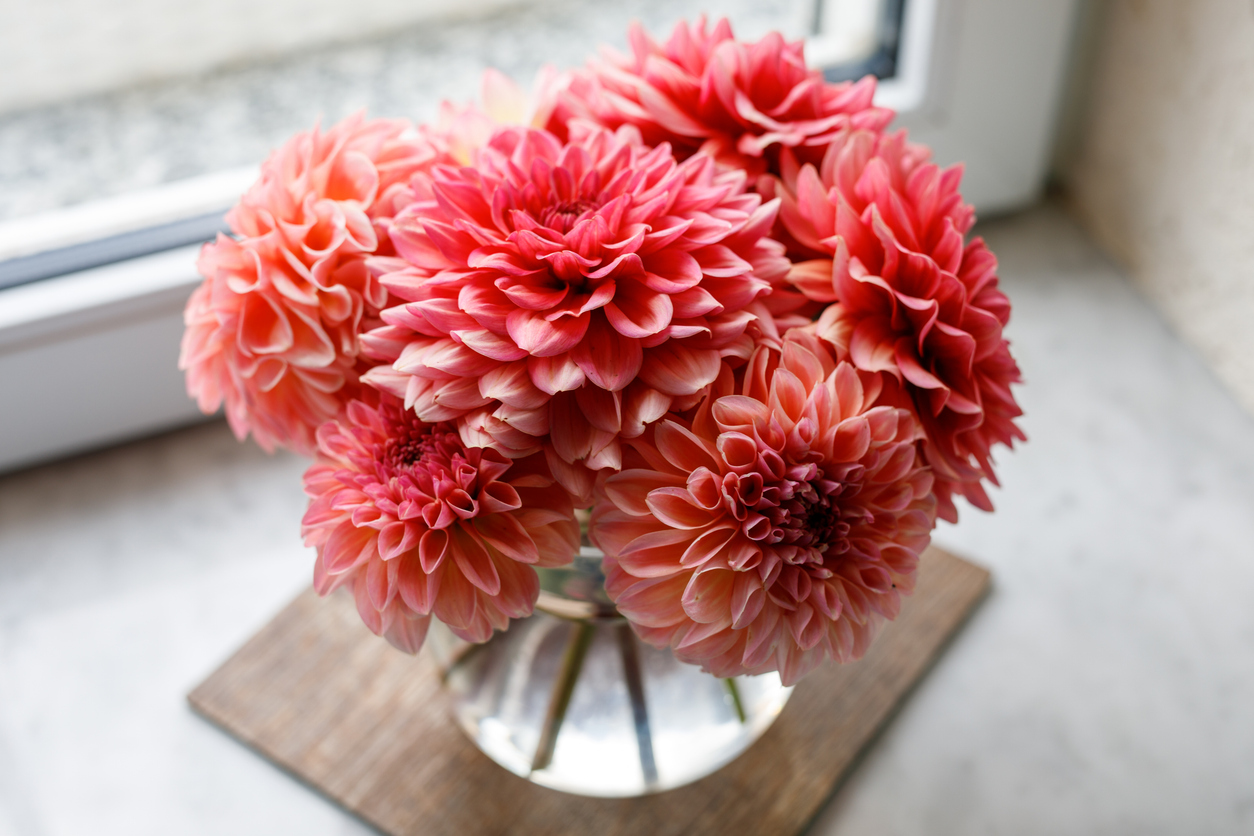 Beautiful Blooms: Six Tips for Budget-Friendly Flower Shopping ...